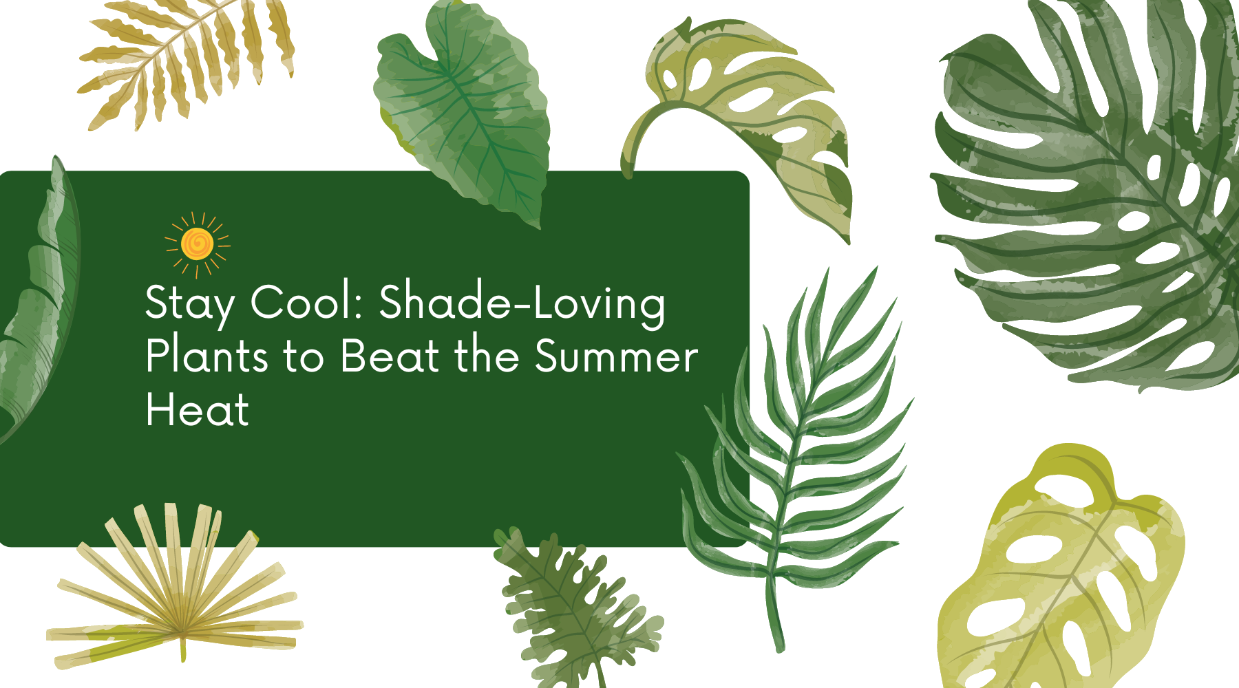 Stay Cool: Shade-Loving Plants to Beat the Summer Heat – ManBhawan Nursery