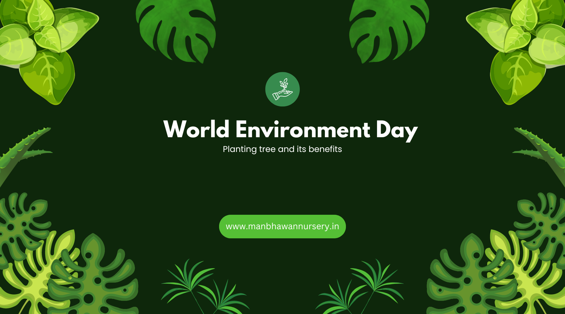 World Environment Day: Planting tree and its benefits – ManBhawan Nursery